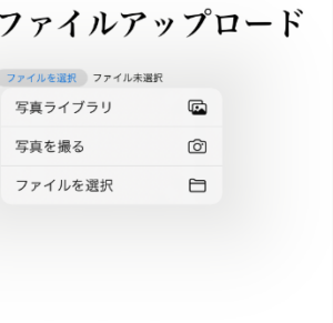 input type=”file”のiosで表示される「写真またはビデオを撮る」等のメッセージを変更したい | trelab